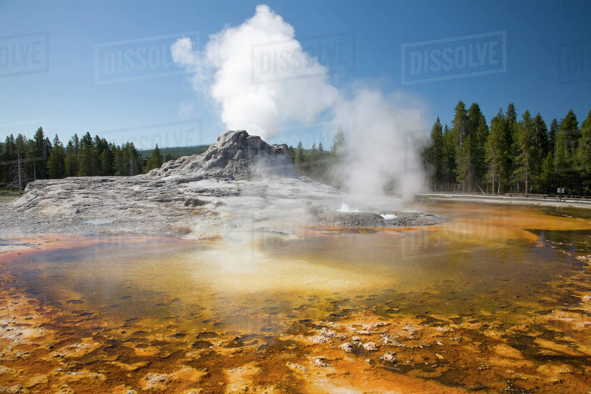 WY, Yellowstone National Park, Upper Geyser Basin, Crested Pool ...