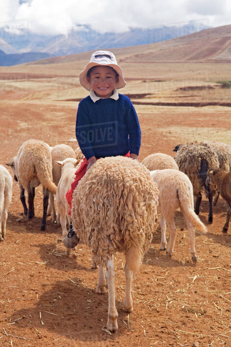 Peru, Highlands, Boy riding backwards on sheep. - Royalty-free Stock ...