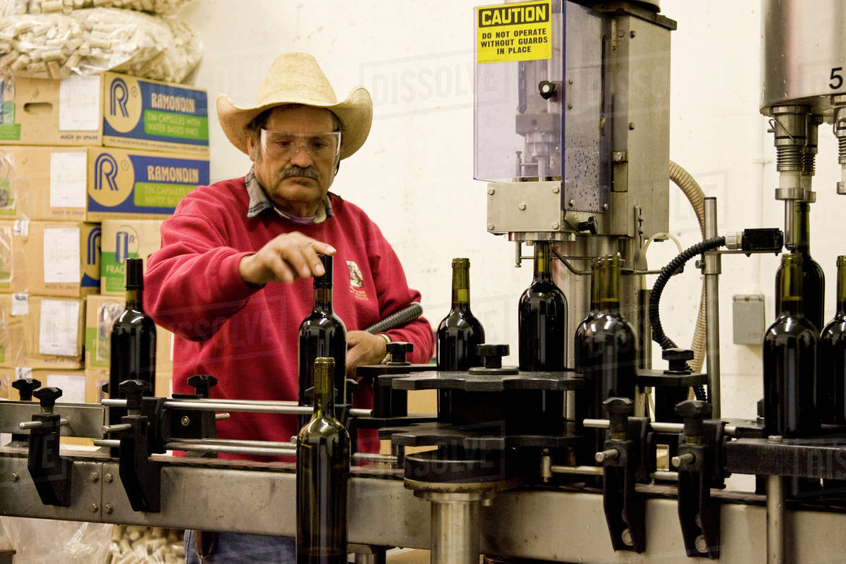 USA, California, Napa Valley. Man working on assembly line that bottles ...