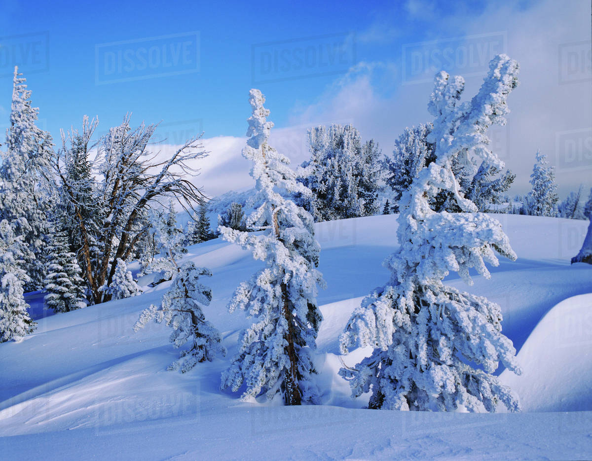 USA, California, Eastern Sierra Mountains. Clearing winter storm and ...