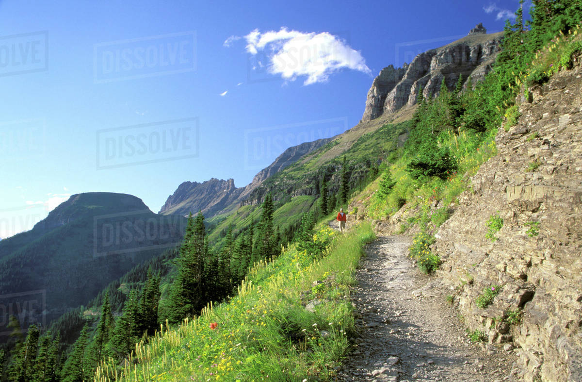 North America, USA, Montana, Glacier National Park. Highline Trail ...