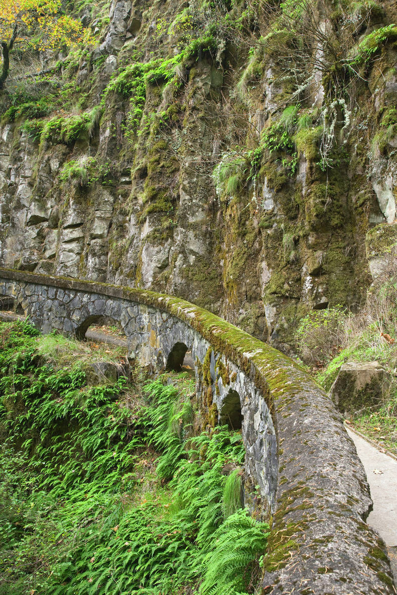 USA, Oregon, Columbia River Gorge. Stone wall next to trail above ...