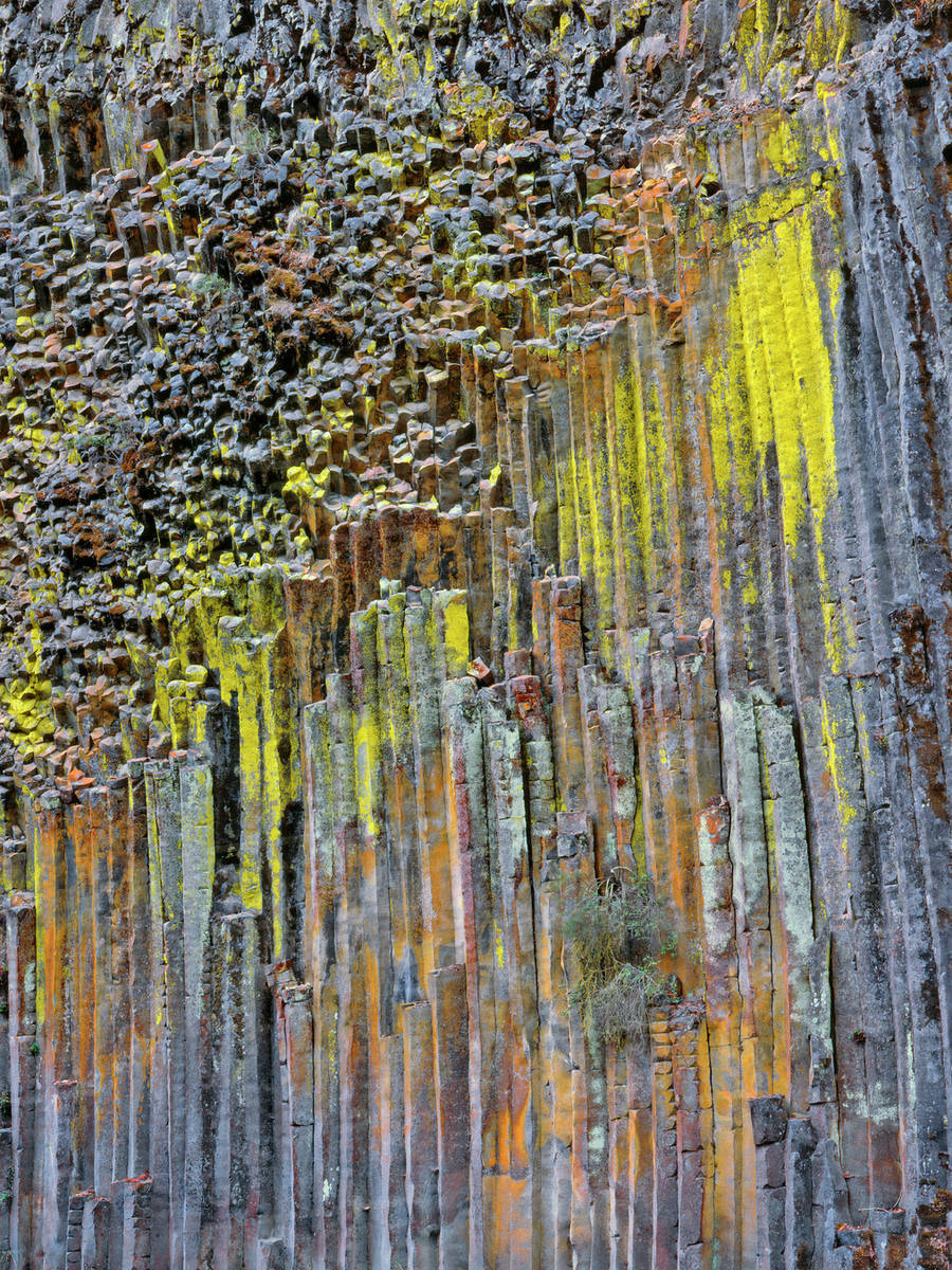 USA, Oregon. Columnar basalt covered with lichen along North Umpqua ...