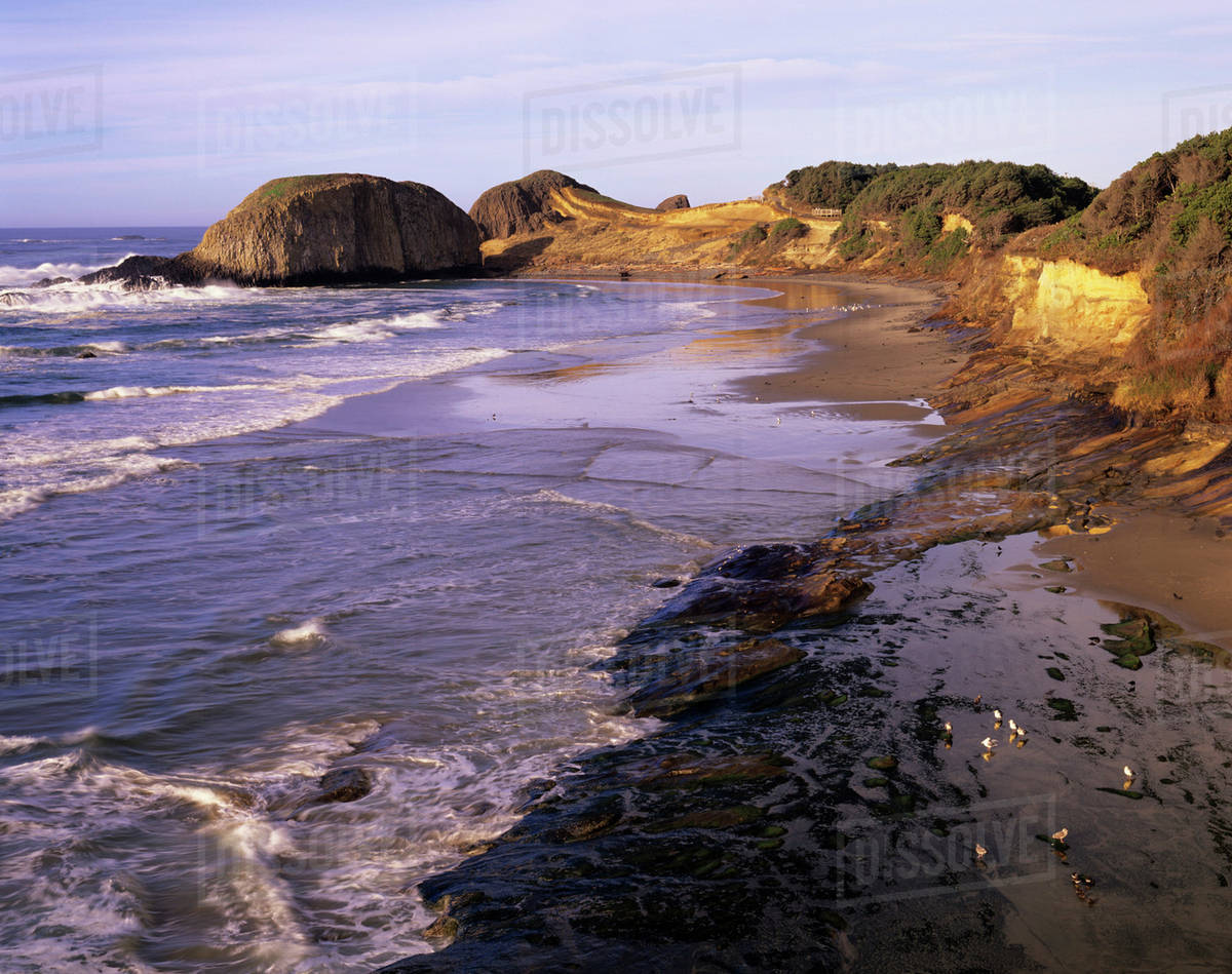 Oregon, Oregon Coast, Newport, shoreline at Seal Rock - Royalty-free ...