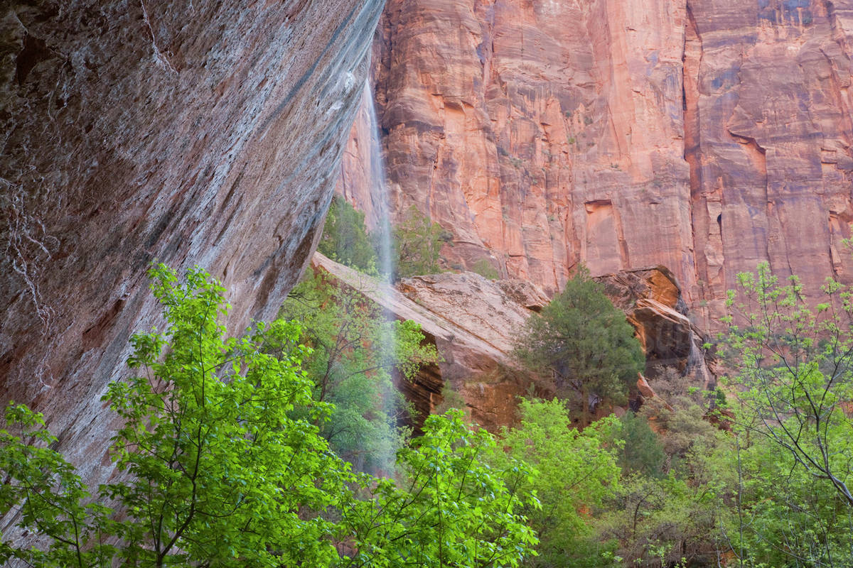Utah, Zion National Park, Waterfall at Lower Emerald Pool - Royalty-free Stock Photo | Dissolve