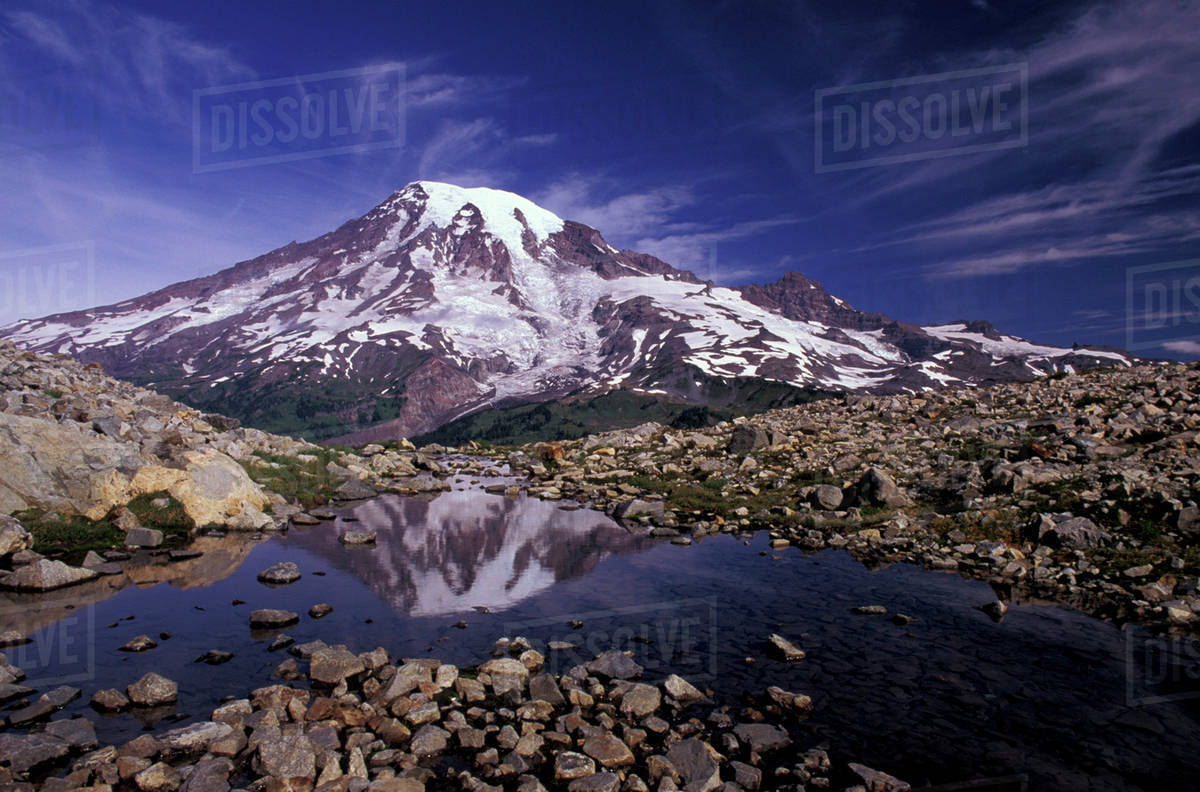 N.A., USA, Washington, Mt. Rainier National Park, Mt. Rainier Reflected ...
