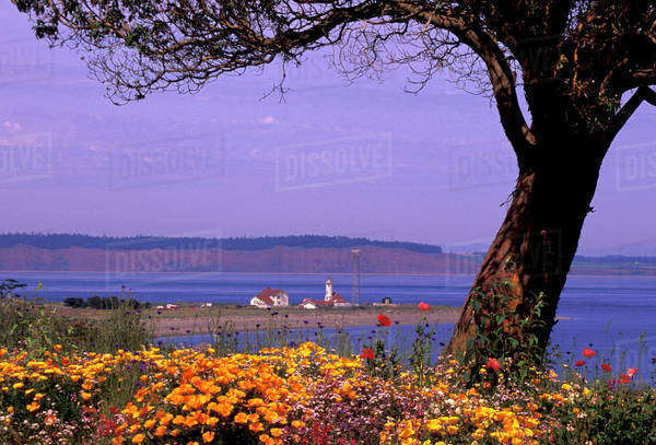 USA, Washington, near Port Townsend. Point Wilson lighthouse, from ...