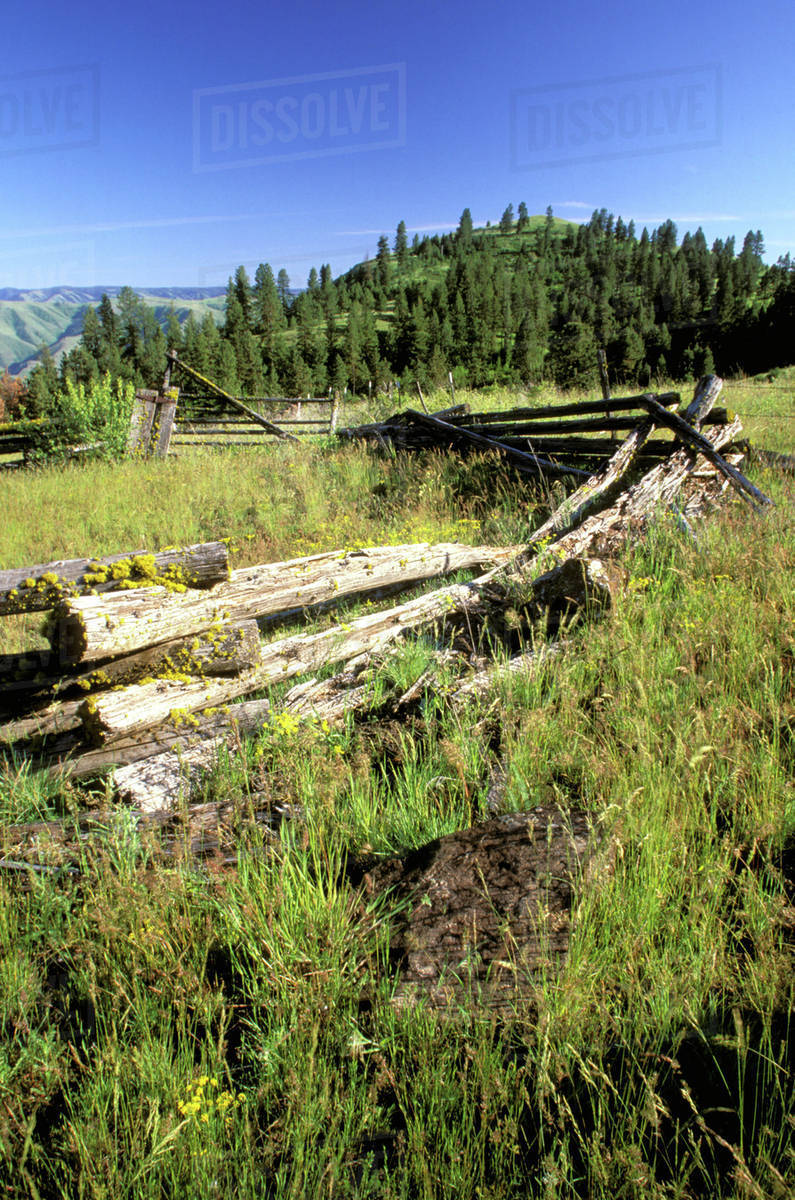 North America, USA, Washington State, Fields Spring State Park. The ...