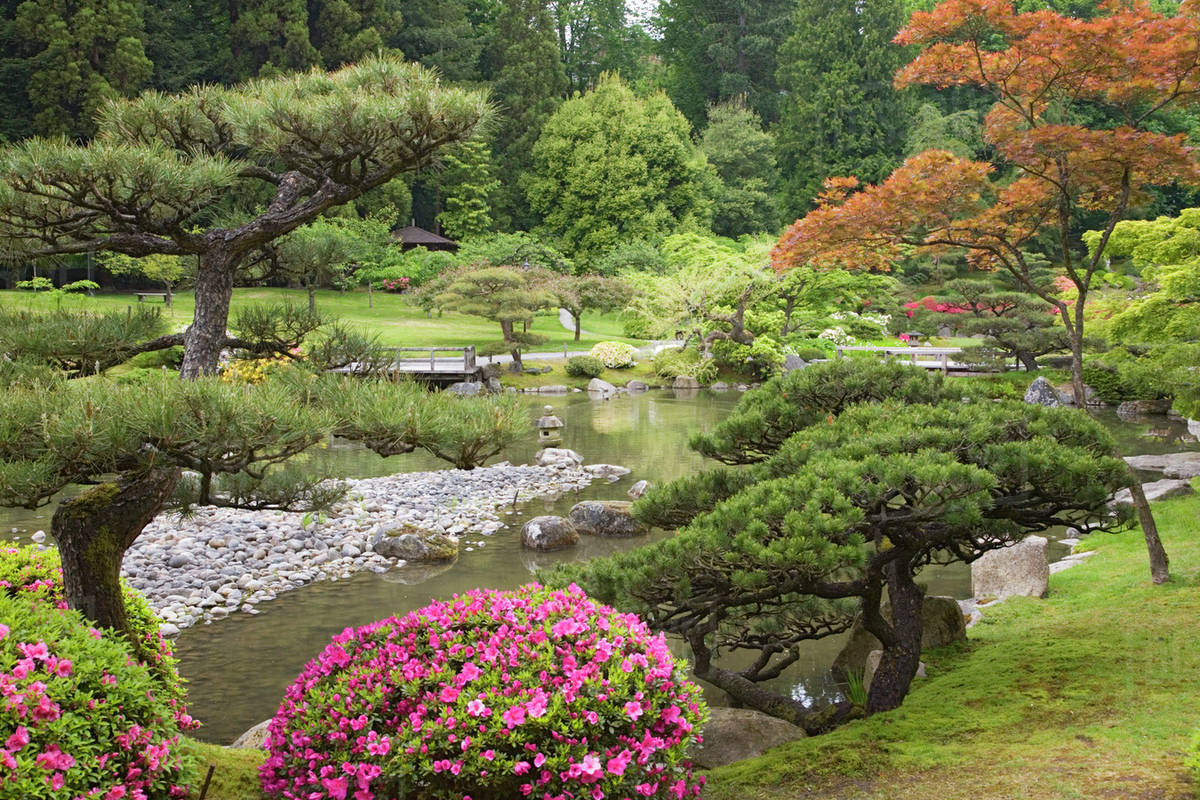 WA, Seattle, Washington Park Arboretum, flowers in bloom at the ...