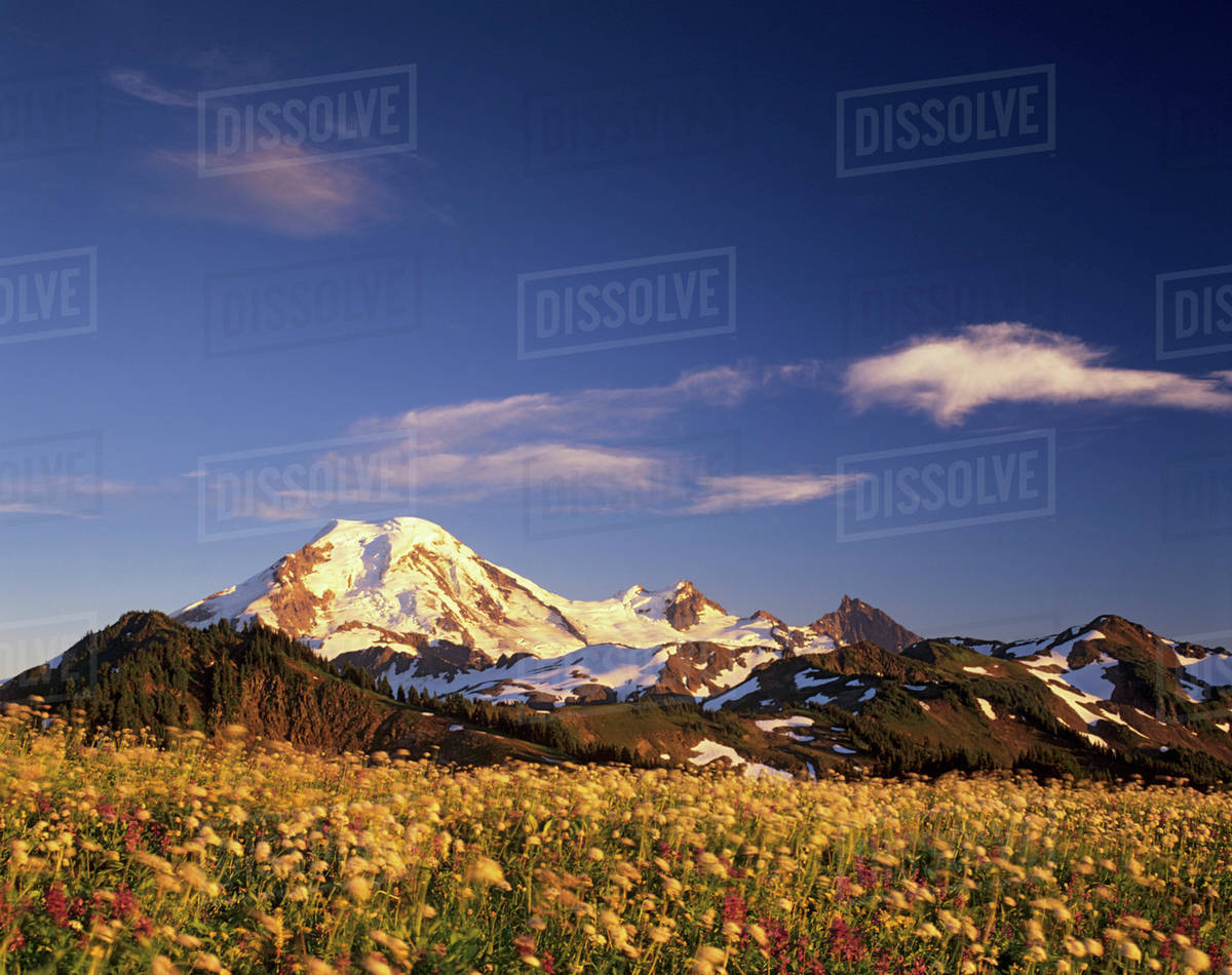 WA, Mount Baker Wilderness, Mount Baker, view from Skyline Divide ...