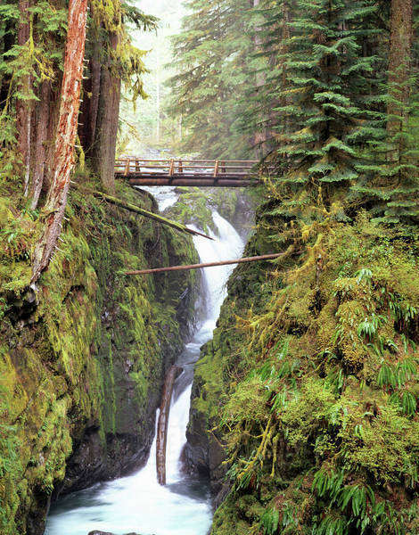 WA, Olympic National Park, Sol Duc Falls with bridge over Sol Duc River ...