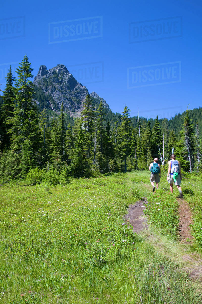 NA, WA, Wild Sky Wilderness, hikers on trail in Paradise Meadow ...