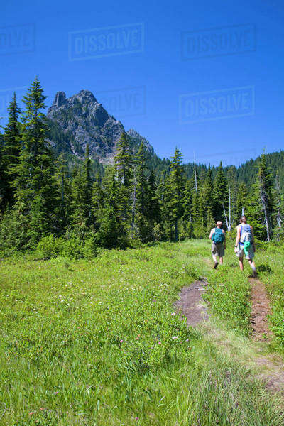 NA, WA, Wild Sky Wilderness, hikers on trail in Paradise Meadow ...