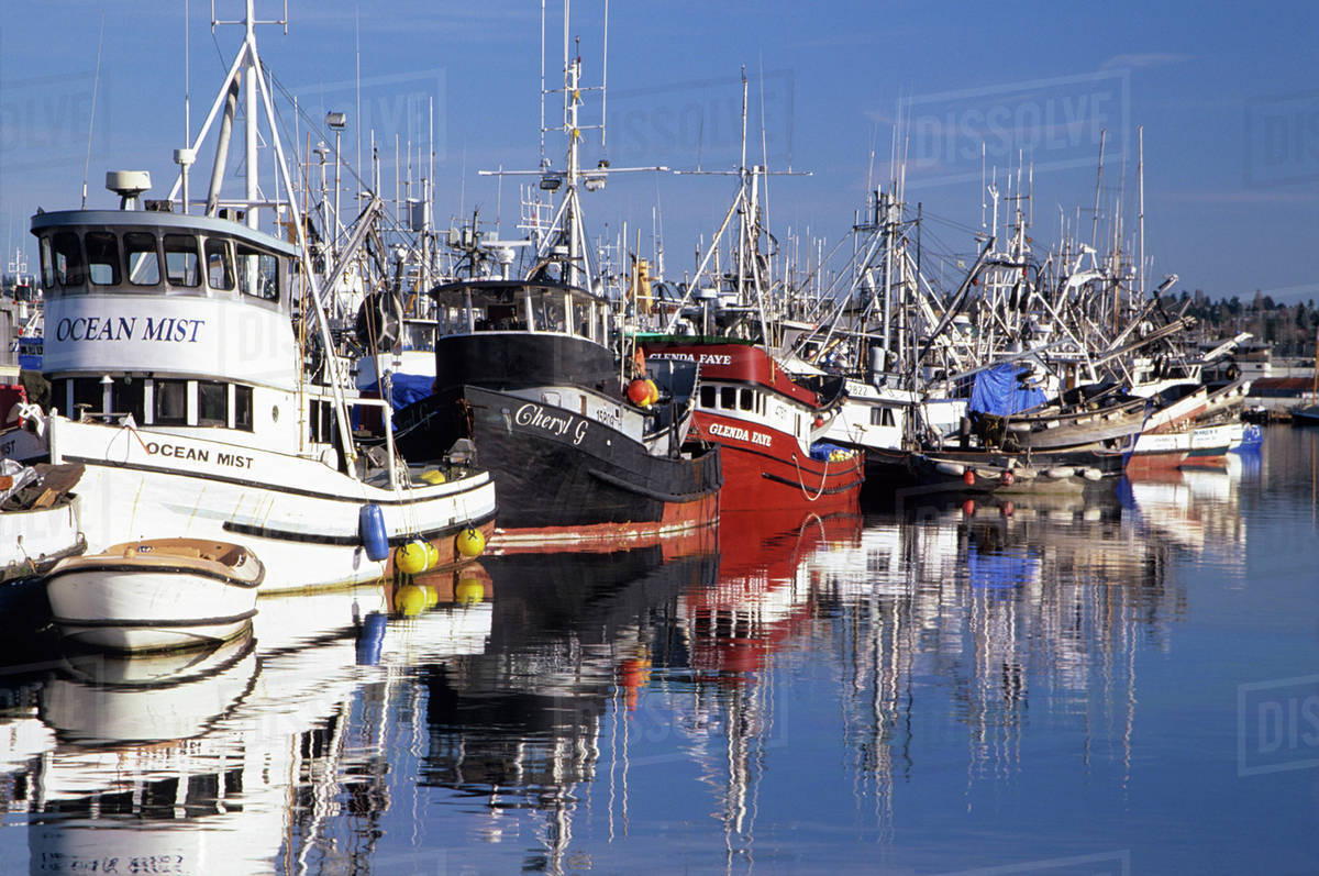 WA, Seattle, Fishing boats moored at Fishermen's Terminal - Royalty ...