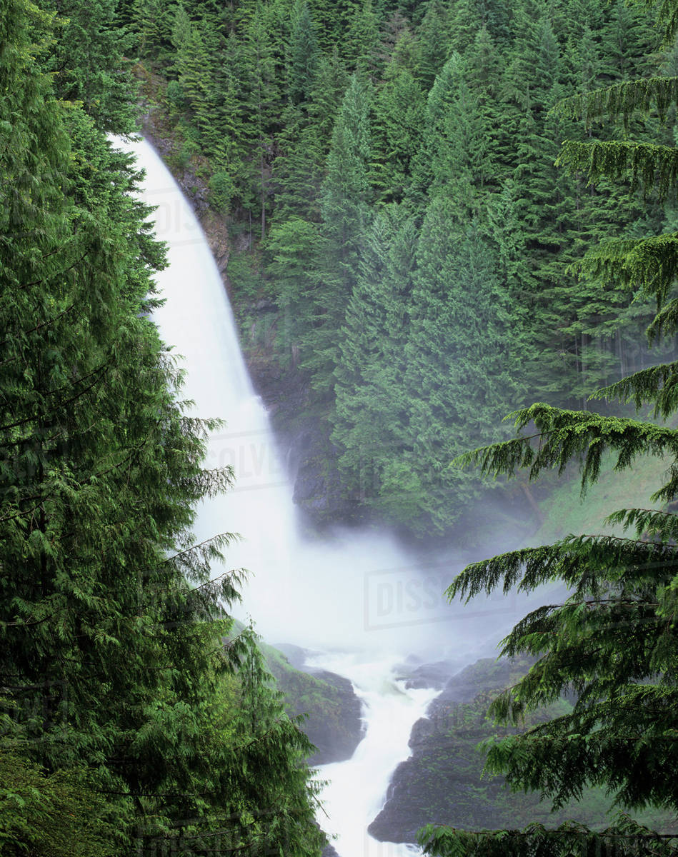 WA, Wallace Falls SP, Wallace Falls, Wallace River drops 250 feet at ...
