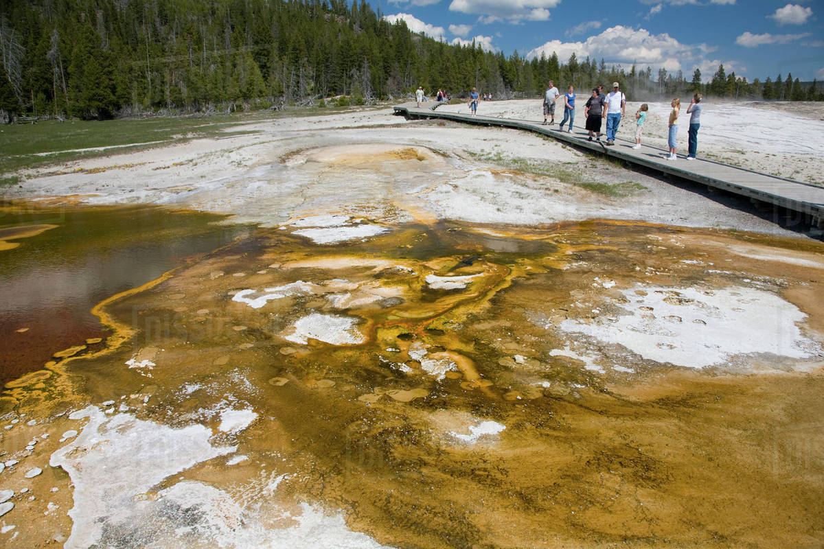 WY, Yellowstone National Park, Upper Geyser Basin, Colorful bacterial ...