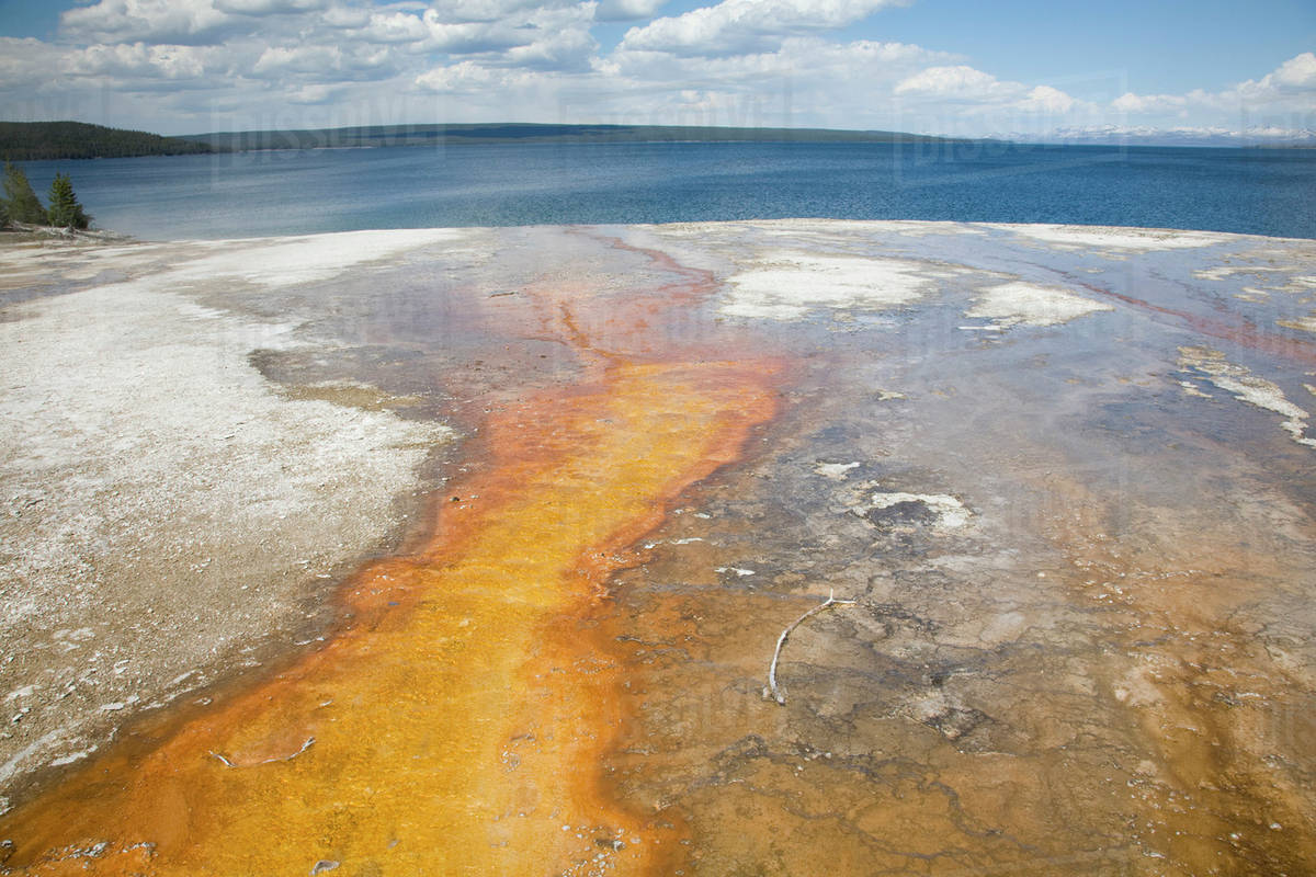 WY, Yellowstone National Park, West Thumb Geyser Basin, on the shore of ...