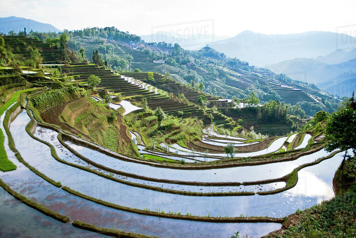 Asia, China, Yunnan Province, Yuanyang County. Sun reflects off flooded ...