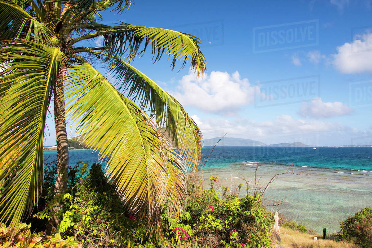 BVI, Marina Cay Small island off Great Camanoe. View from top of Cay ...