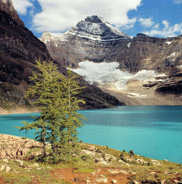 Canada, British Columbia, Yoho National Park. Lake McArthur, the color ...