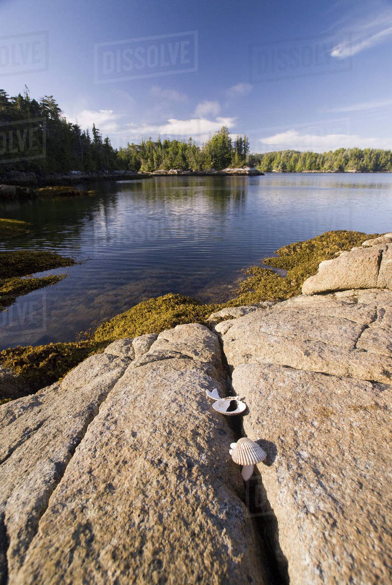 Late Afternoon at Skull Cove, Bramham Island, British Columbia, Canada ...