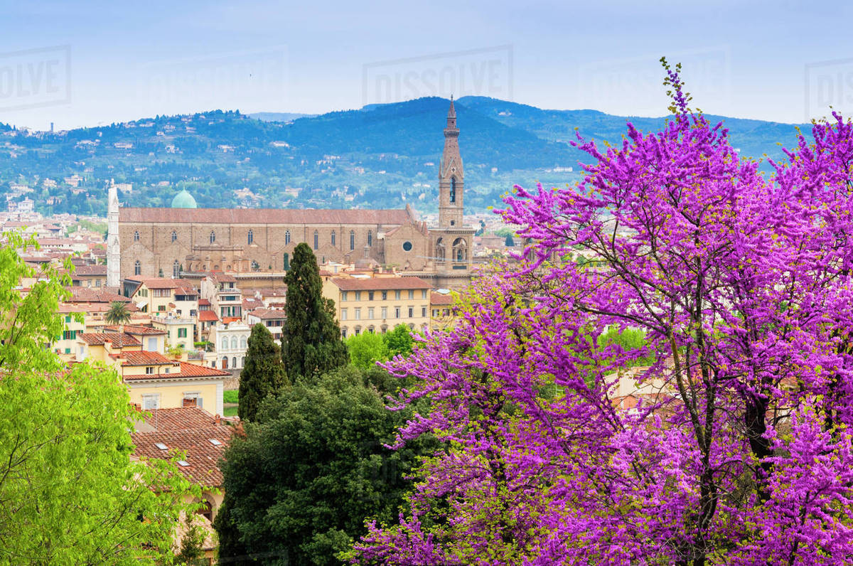 View of city center of Florence, Firenze, UNESCO World Heritage site ...