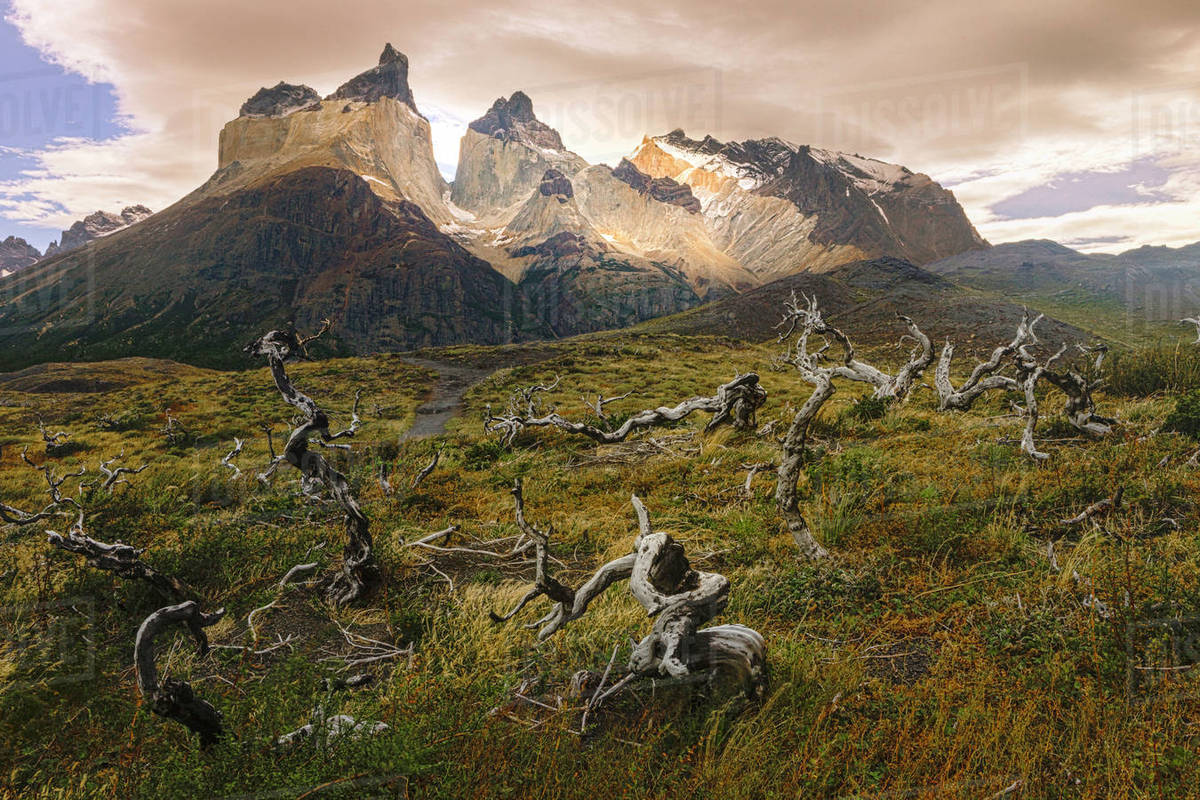 Cordillera del Paine. Gigantic granite monoliths. Cuernos del Paine ...