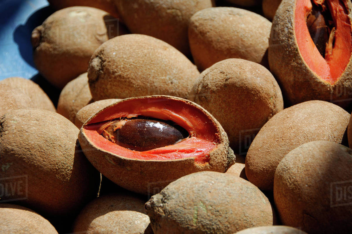 Central America, Guatemala, Guatemala City. The capital city of ...