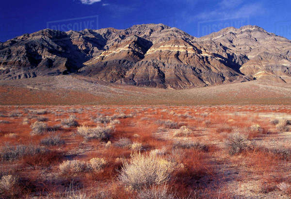 North America, USA, CA, Death Valley National Park, Landscape - Stock ...