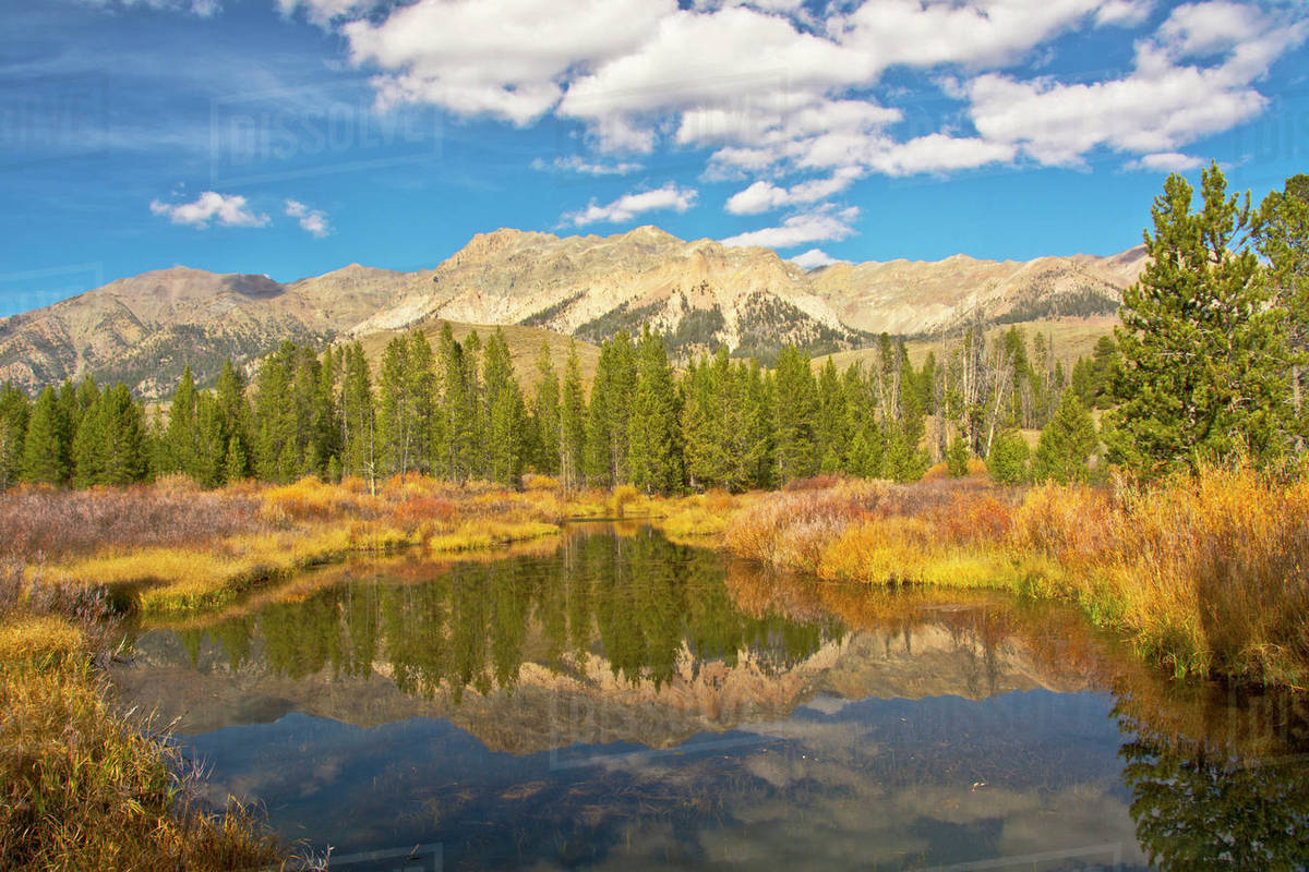 Reflection, Big Wood River, autumn, Sawtooth National Forest: Idaho ...