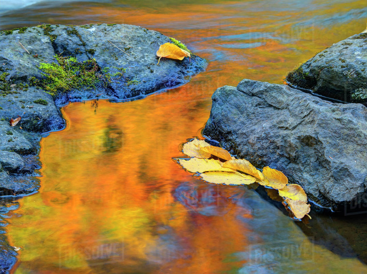 USA, Michigan, Upper Peninsula. Fall colors reflecting in river with ...