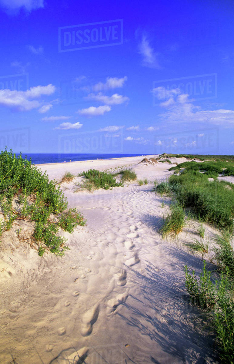Pea Island beach, Outer Banks, North Carolina, USA. - Royalty-free ...