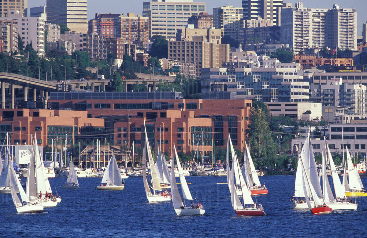 USA, Washington State, Seattle, Lake Union. Sailboat race - Royalty ...