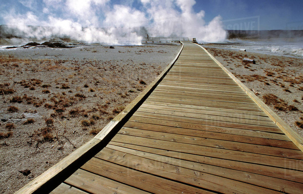 USA, Wyoming, Yellowstone National Park. A wooden walkway leads to and ...