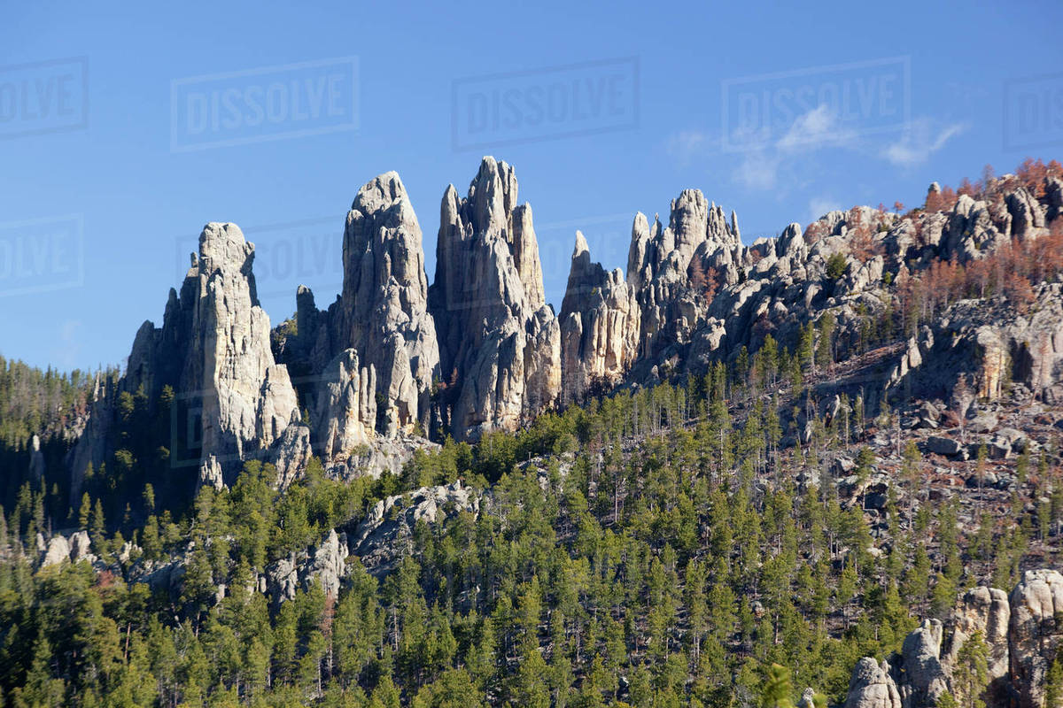 SD, Custer State Park, Needles Highway, Cathedral Spires, granite rock ...