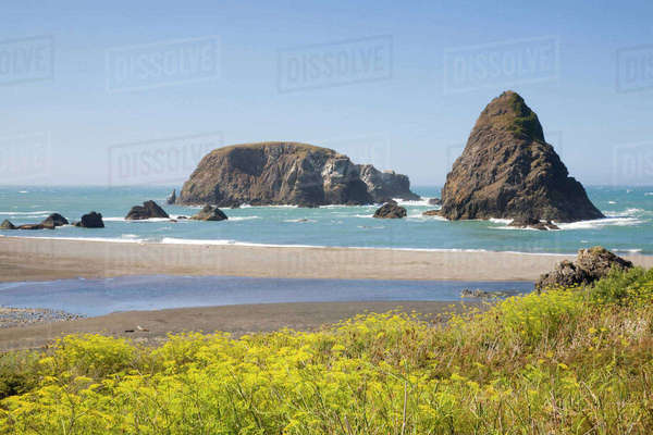 Oregon, Oregon Coast, Whaleshead Beach, South Coast, Seastacks - Stock ...