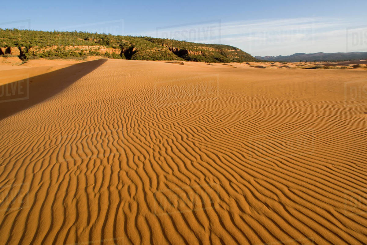 Sand ripples and dunes at Coral Pink Sand Dunes State Park in Utah ...