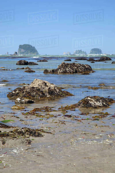 USA, Washington, Olympic National Park, Sand Point area, View of ...
