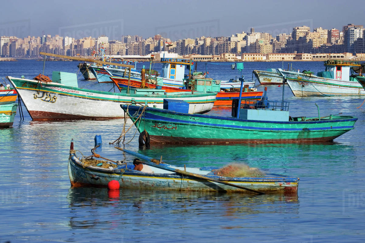 Colorful fishing boats in the Harbor of Alexandria, Egypt. - Stock ...