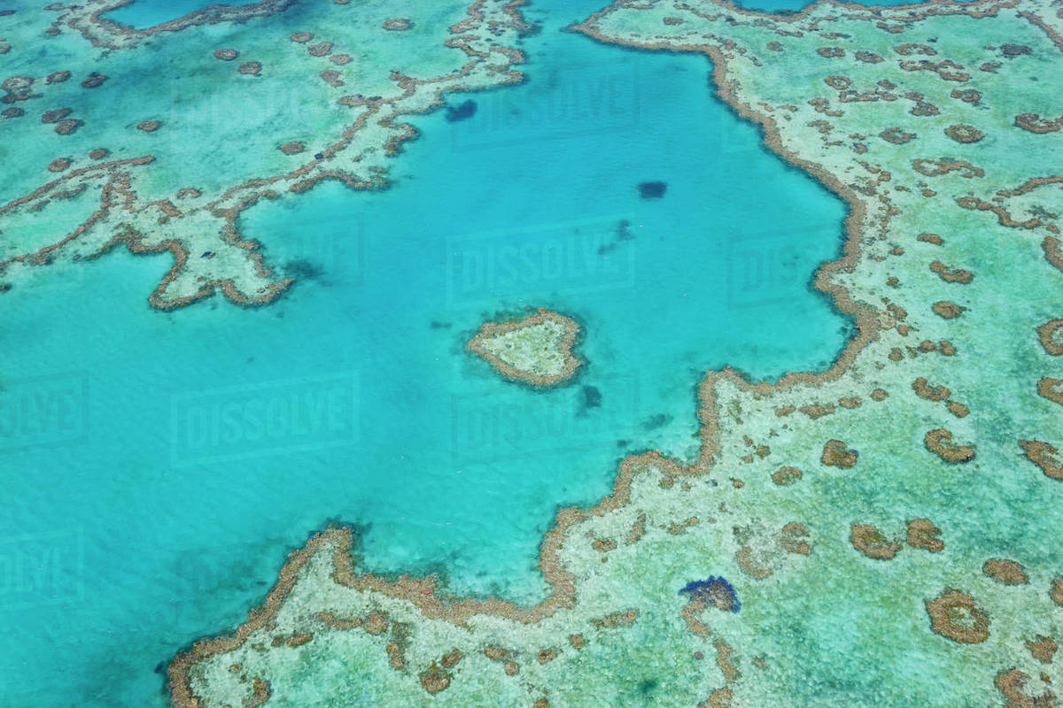 Aerial view of Heart Reef, part of Great Barrier Reef, Queensland ...