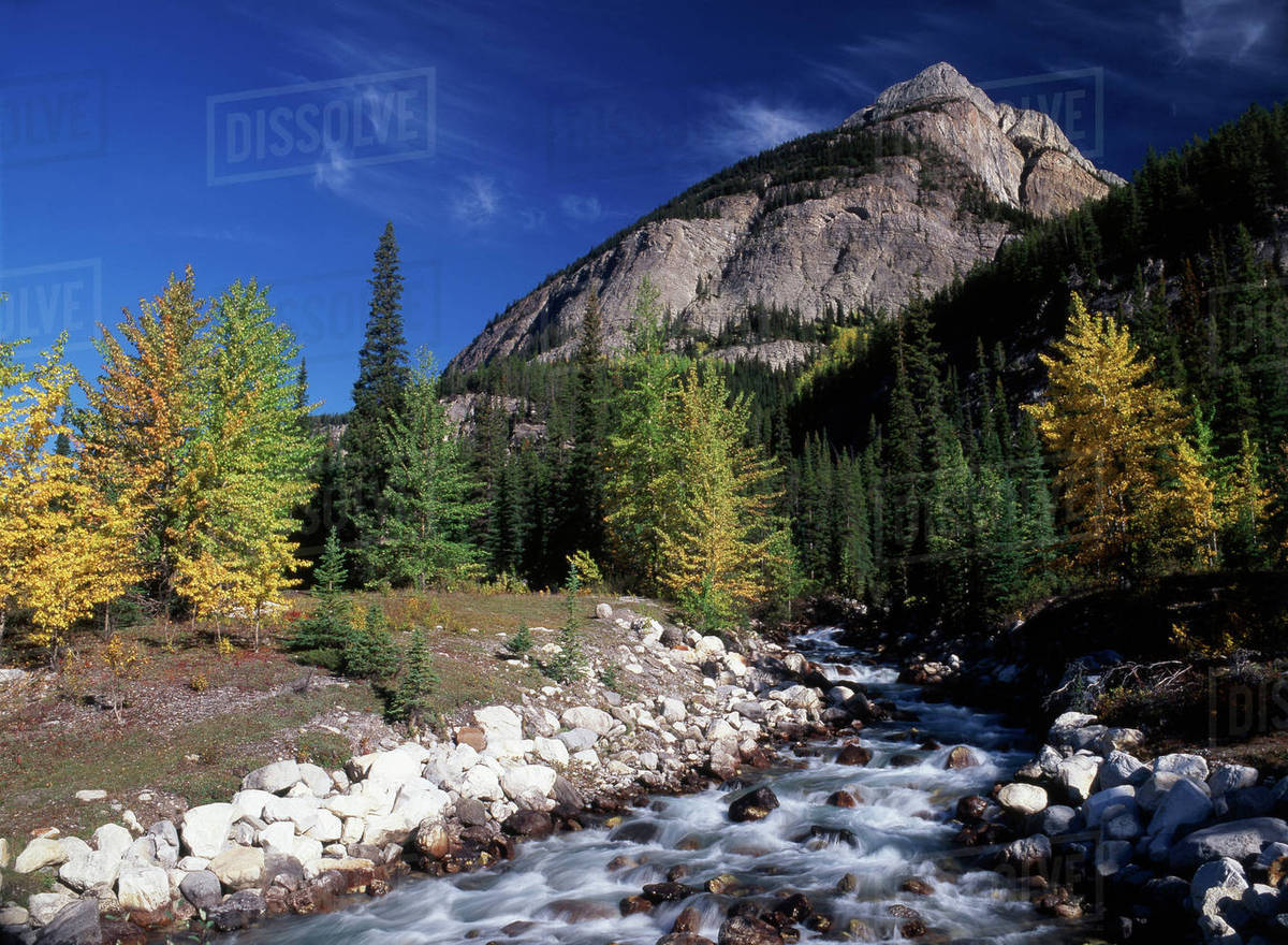 Canada, Alberta, Rampart Creek at Banff National Park - Stock Photo ...
