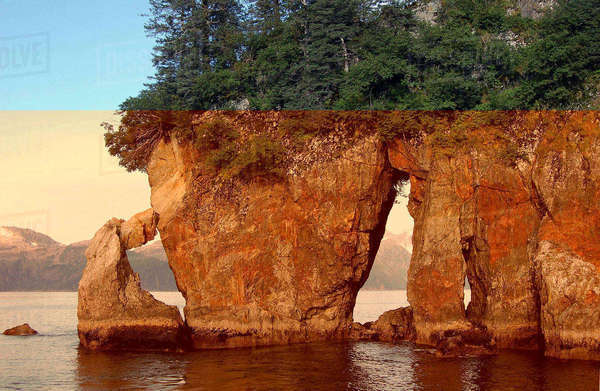 Three hole point on wildlife tour of Kenai Fjords National Park, Seward ...