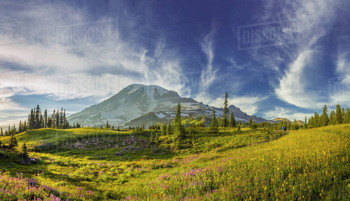 USA, Washington State. Evening panorama from trail at Mazama Ridge ...