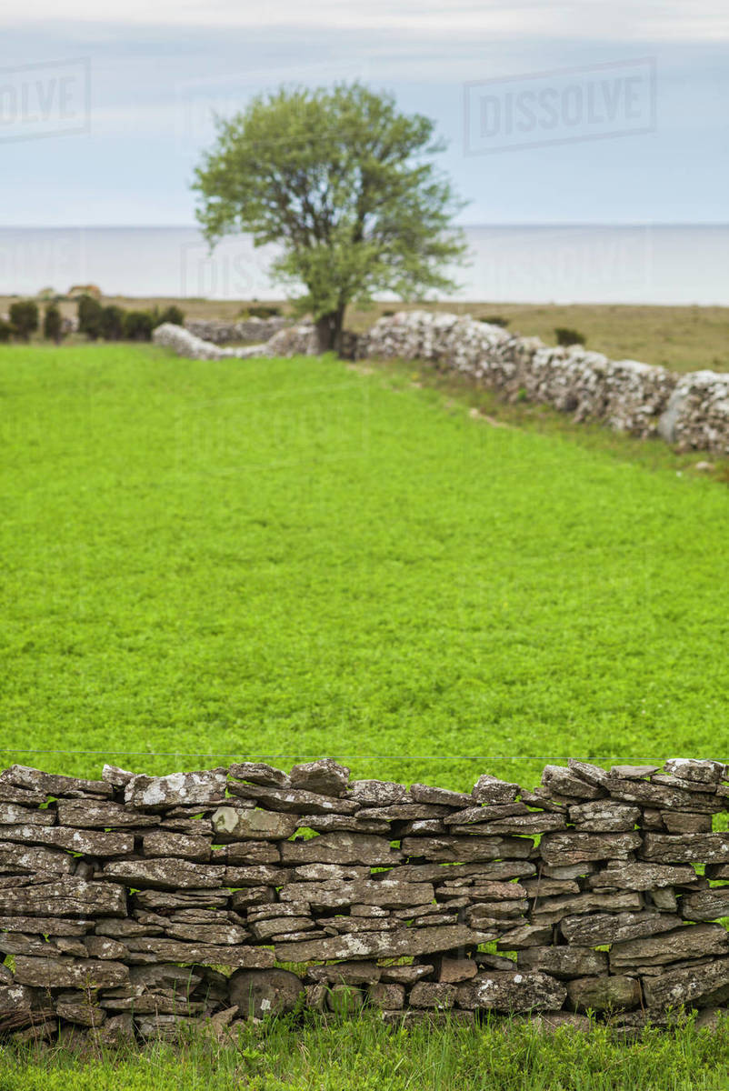 Sweden, Gotland Island, Sundre, stone wall, southern Gotland - Royalty ...