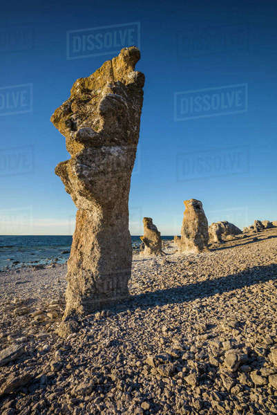 Sweden, Faro Island, Langhammars Area, Langhammar coastal limestone ...