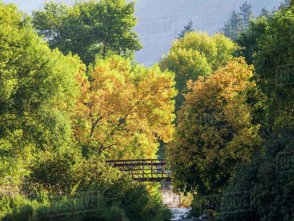 USA, Utah. Trail bridge across the Logan River along Logan Canyon in ...