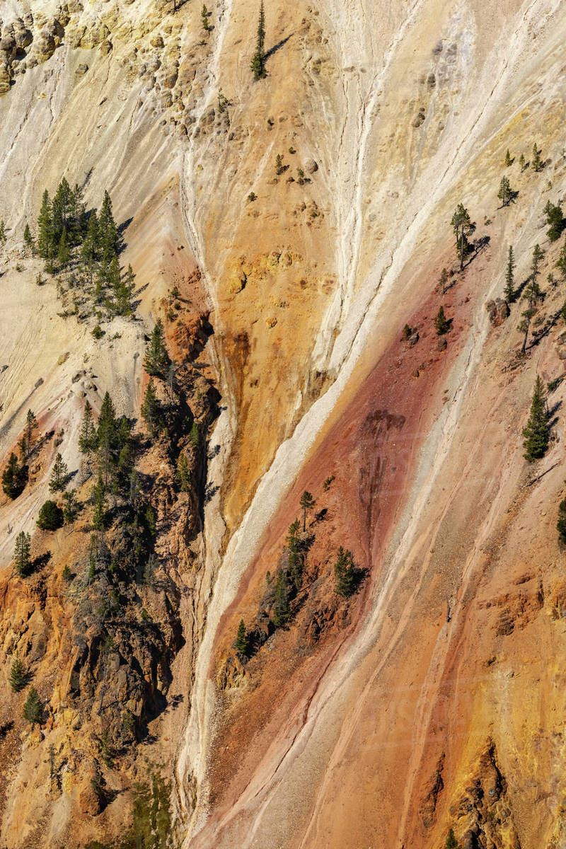 Steep colorful canyon walls of hydrothermally altered rhyolite, Grand ...