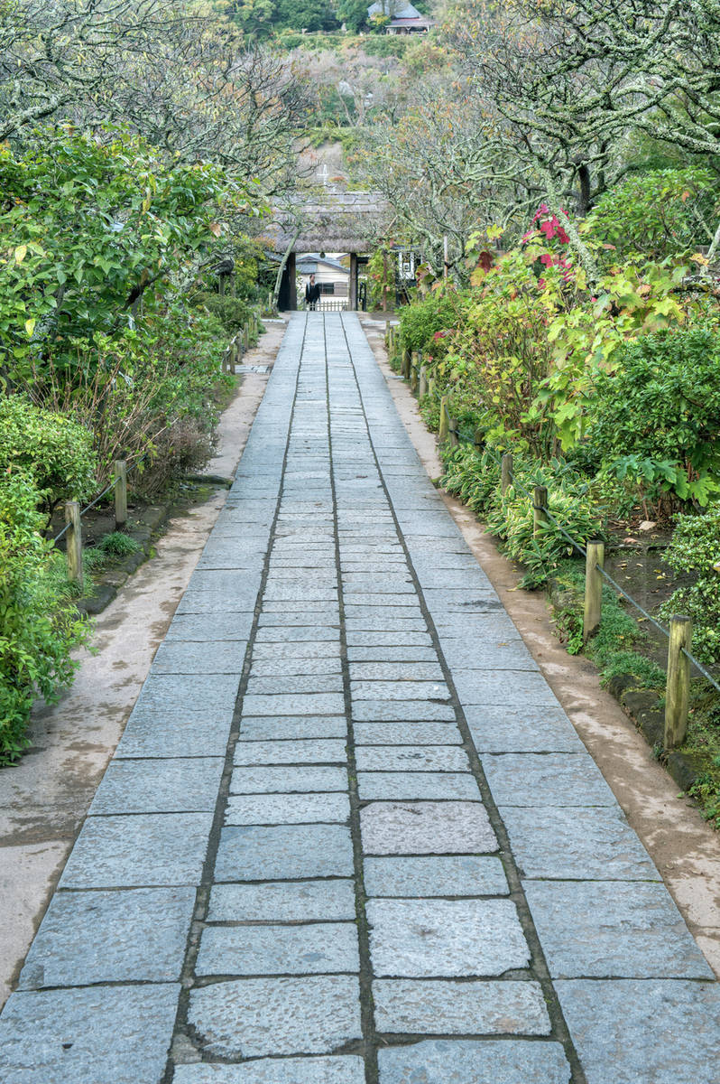 Japan, Kanagawa, Kamakura, Tokeiji Temple Garden. - Royalty-free Stock ...