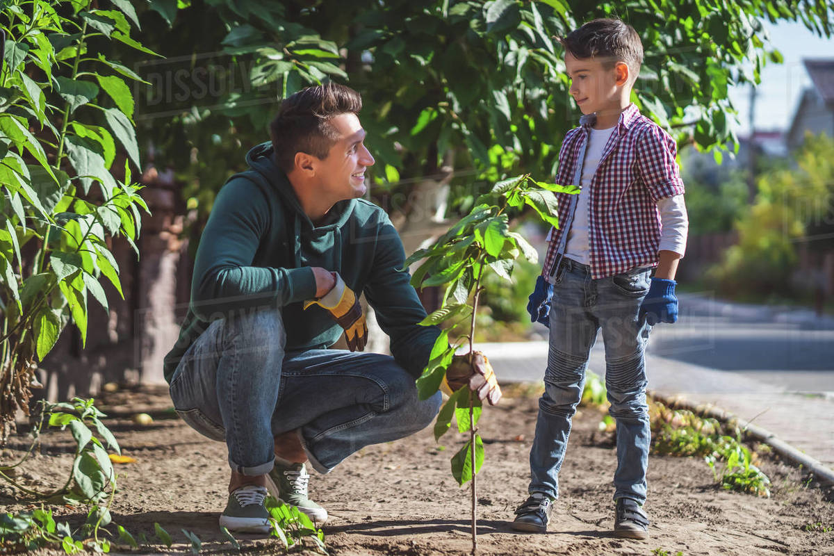 The father and son gardening together - Royalty-free Stock Photo | Dissolve
