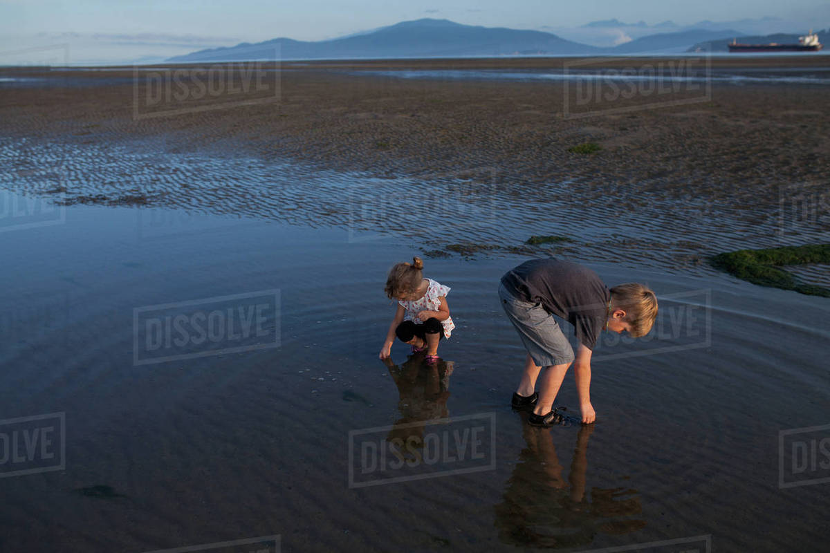 Children picking up seashells on beach, Vancouver, British Columbia ...